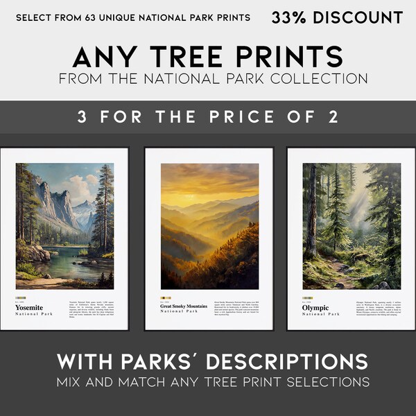 National Park Poster - Etsy