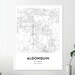 Algonquin Map Print Algonquin Map Poster Wall Art Il City - Etsy