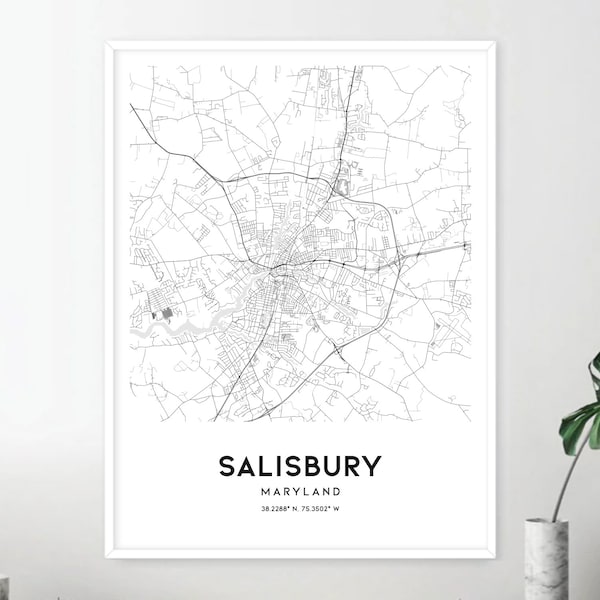 Salisbury Md Maps - Etsy