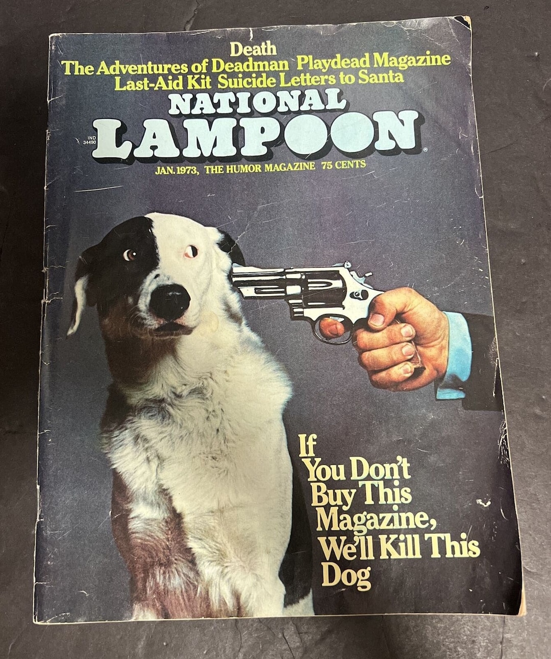 National Lampoon Magazine January 1973 Well Kill This Dog Cover Deadman ...