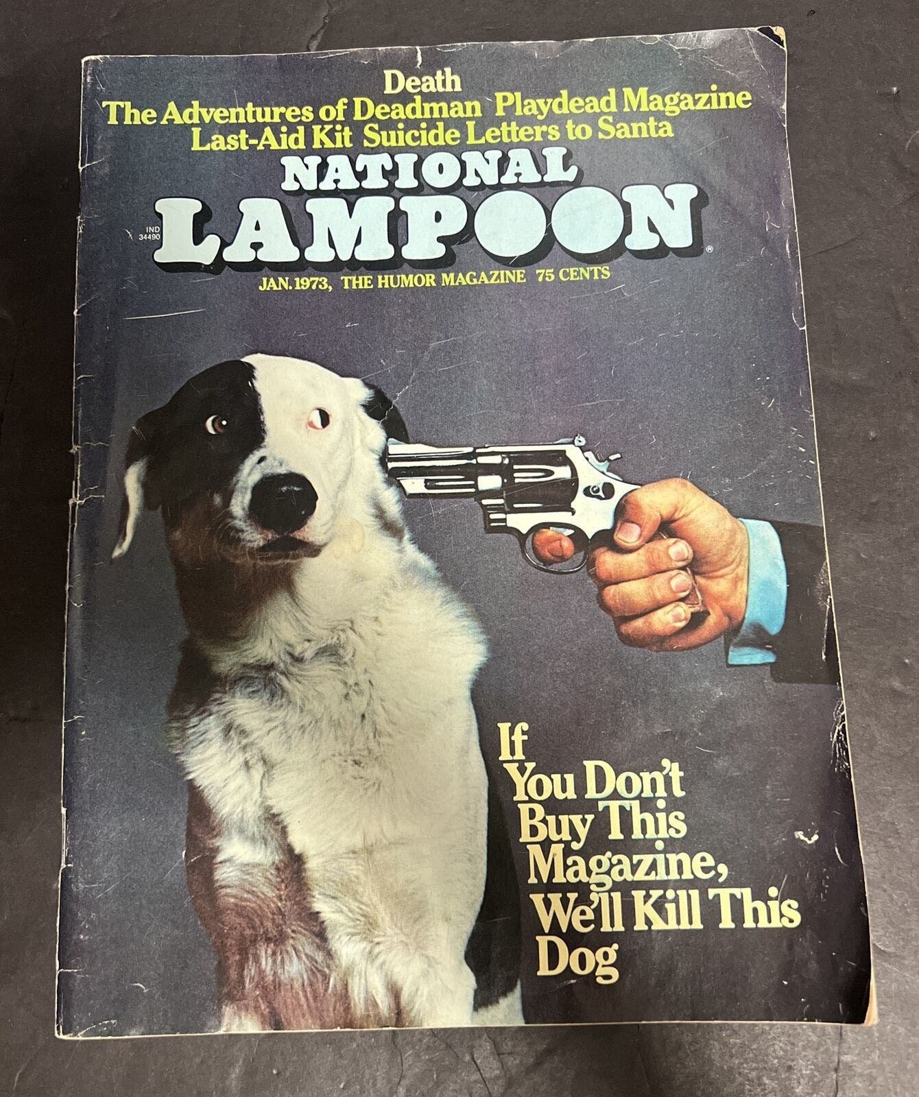 National Lampoon Magazine January 1973 Well Kill This Dog Cover Deadman ...