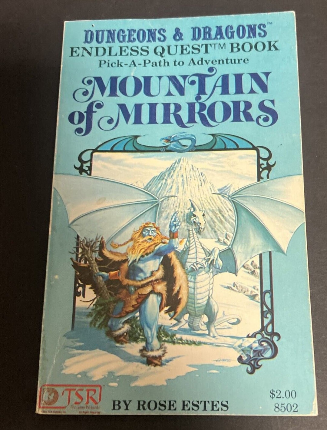 Dungeons & Dragons an Endless Quest Book Mountain of Mirrors 8502 Rose ...