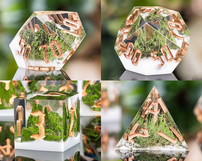 Forest Themed Dice-o-rama Dice Holder and Display, Tree Trunk, Fairy ...