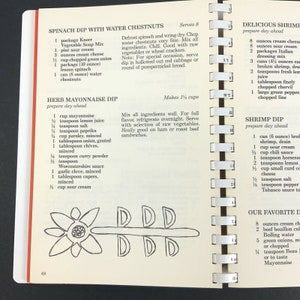 Fiesta Under the Sun Cookbook Junior League of Phoenix Arizona AZ ...