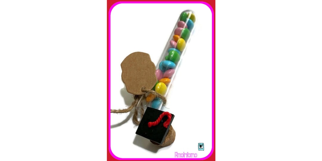 Graduation Favor, Graduation Test Tube, Graduation Hat in Fimo - Etsy