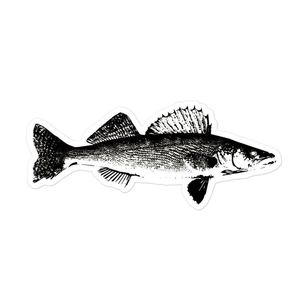 Walleye Sticker - Etsy