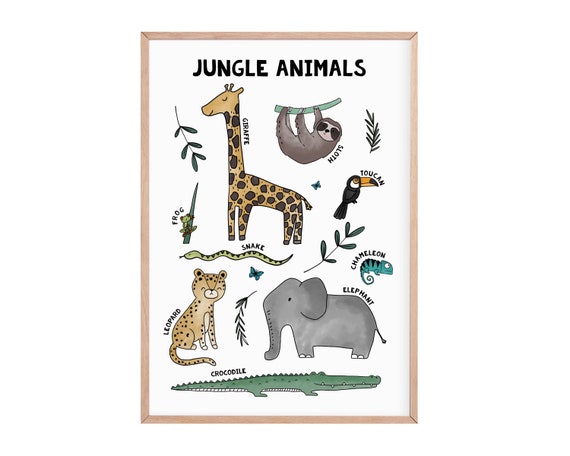 Jungle Animals Pictures To Print