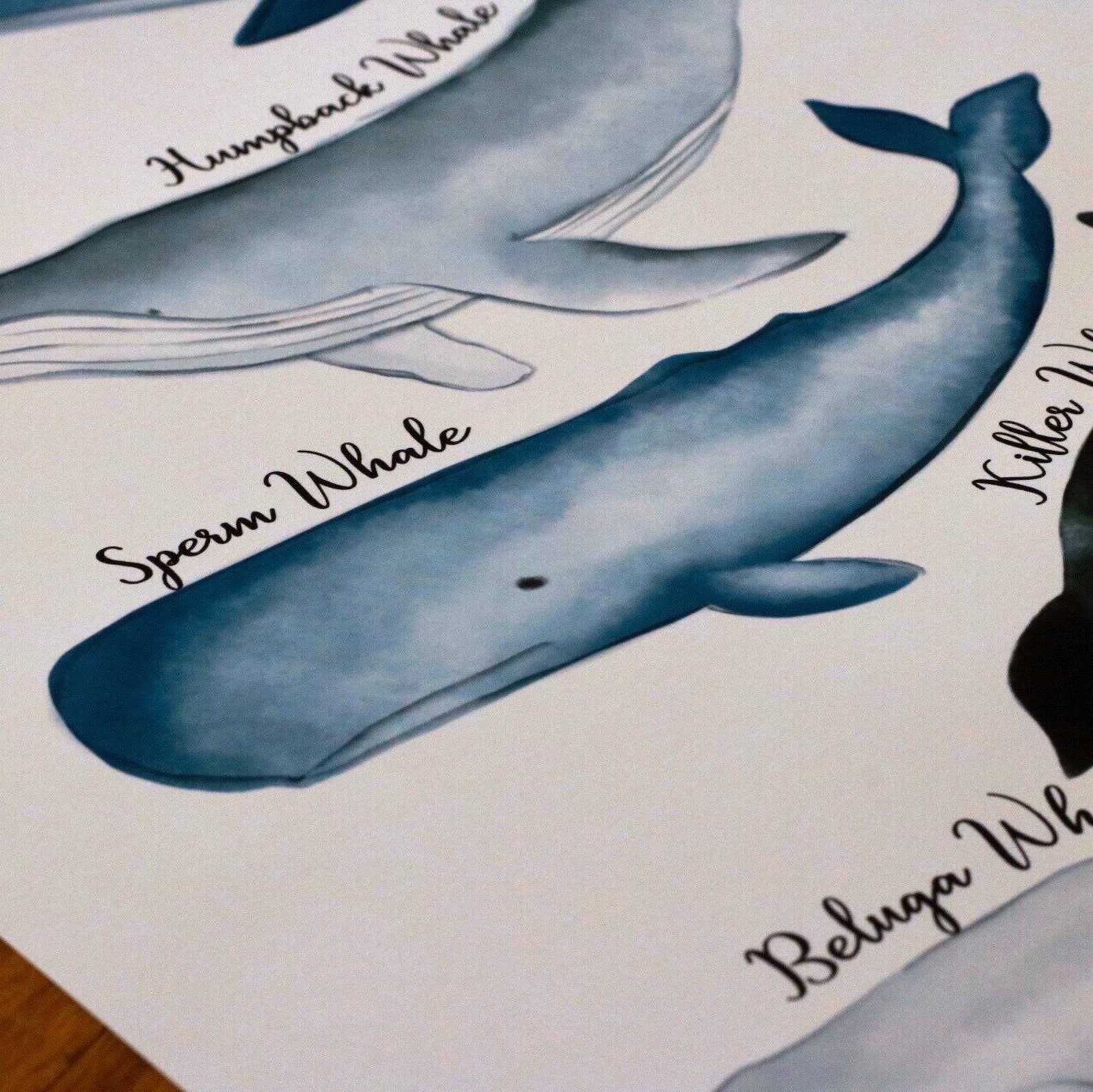 Educational Childrens Prints Whale Poster Under the Sea | Etsy