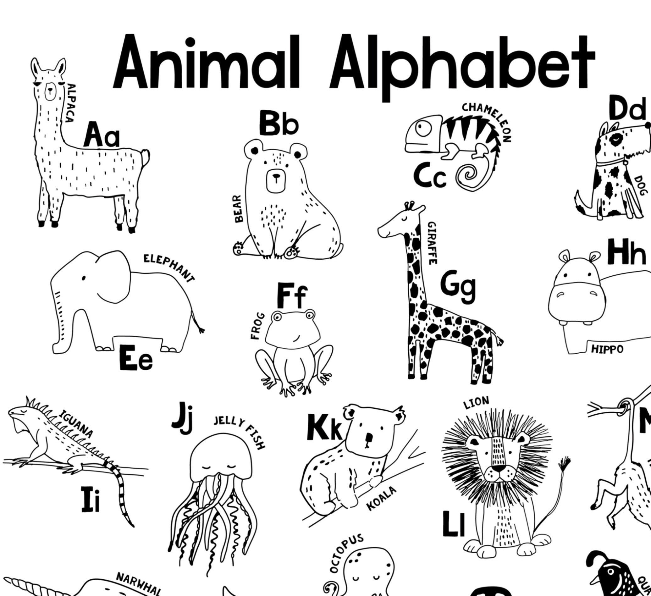 Animal Alphabet Print Nursery Prints Abc Animal Print | Etsy