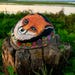 Stone Painted FOX | Painted Pebble | Paperweight | Painted Stone ...
