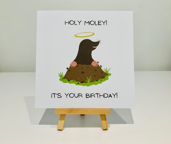 Birthday Card Mole Birthday Card Funny Humour Happy - Etsy UK