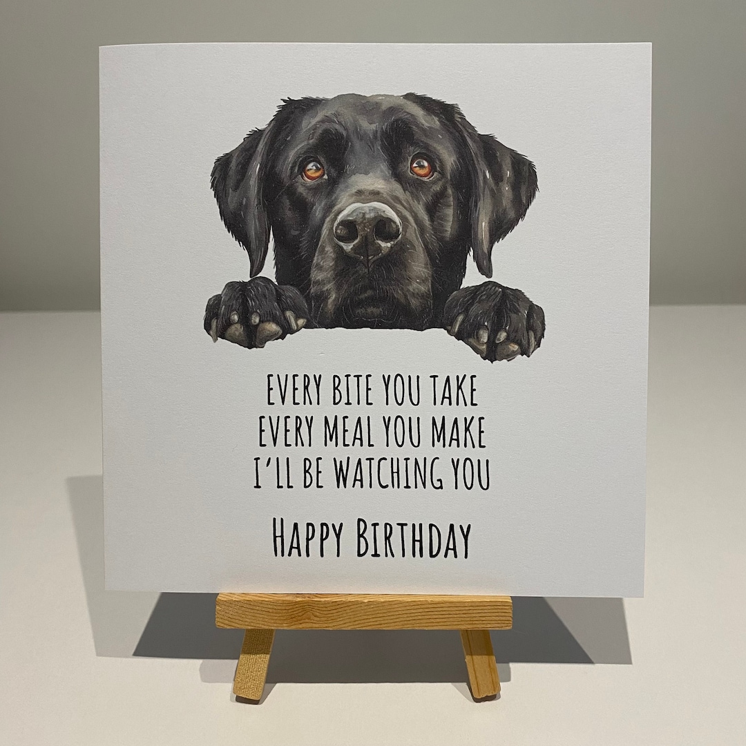 Birthday Card, Black Labrador Birthday Card, Card From the Dog, Funny ...