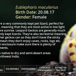 Reptile Enclosure Labels Red-footed Tortoise Information Sticker ...