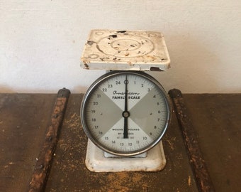 Vintage Scale, Vintage American Family Scale, Vintage Kitchen Scale ...