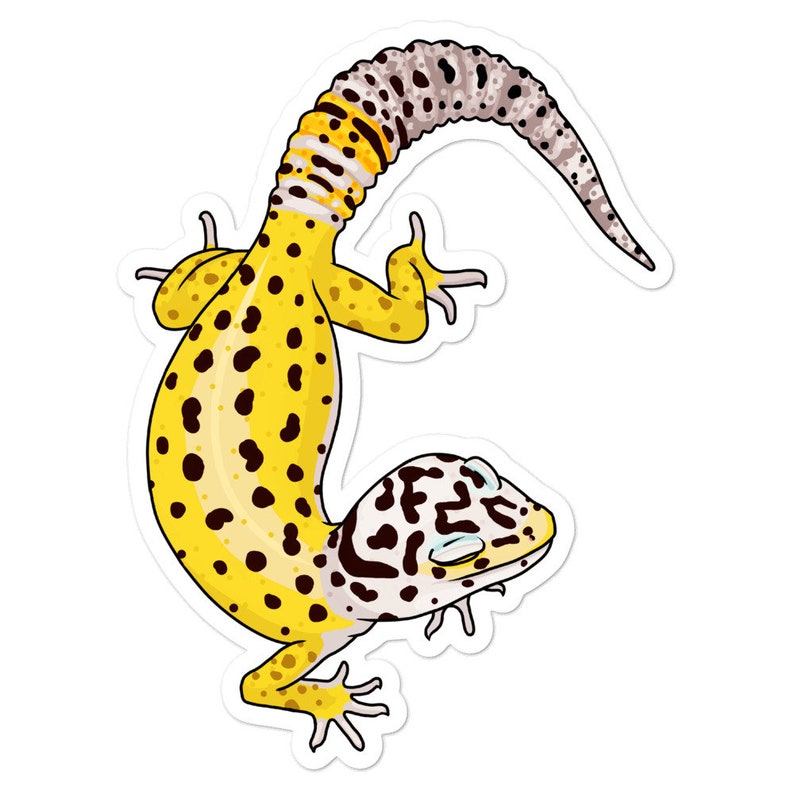 Leopard Gecko Sticker Vinyl Die-Cut Lizards Reptiles Pet | Etsy