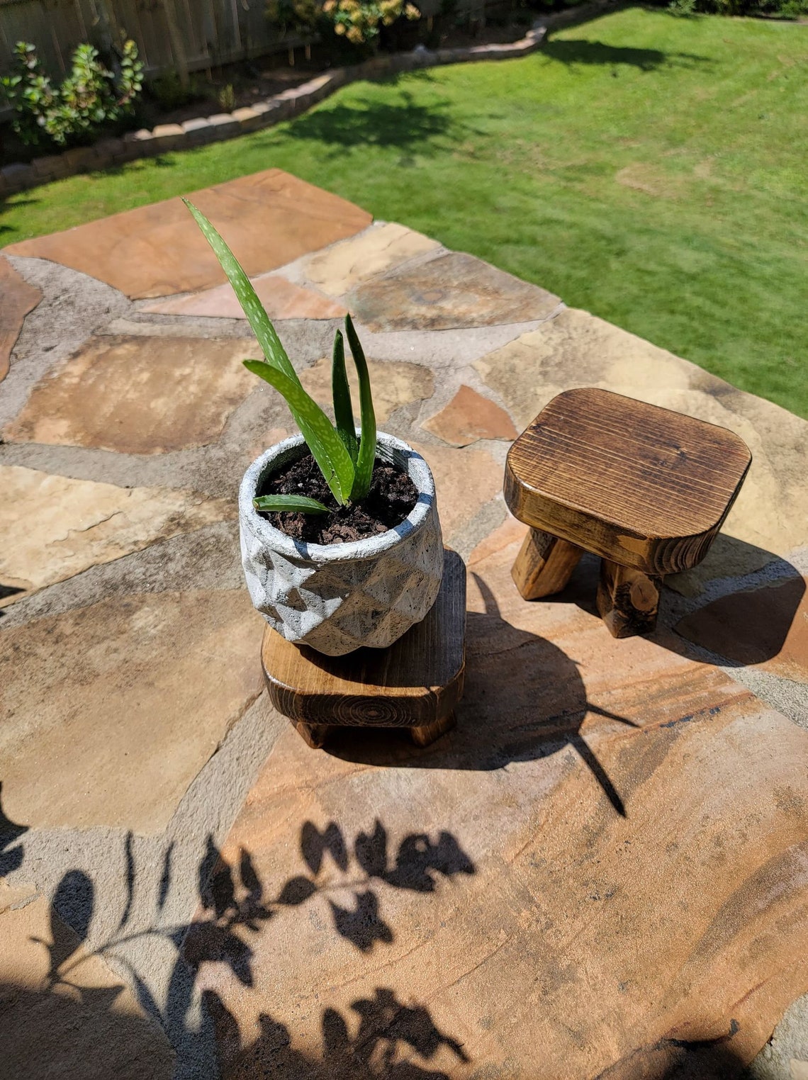 2 Mini Tabletop Solid Wood Rustic Plant Stand / Riser / - Etsy