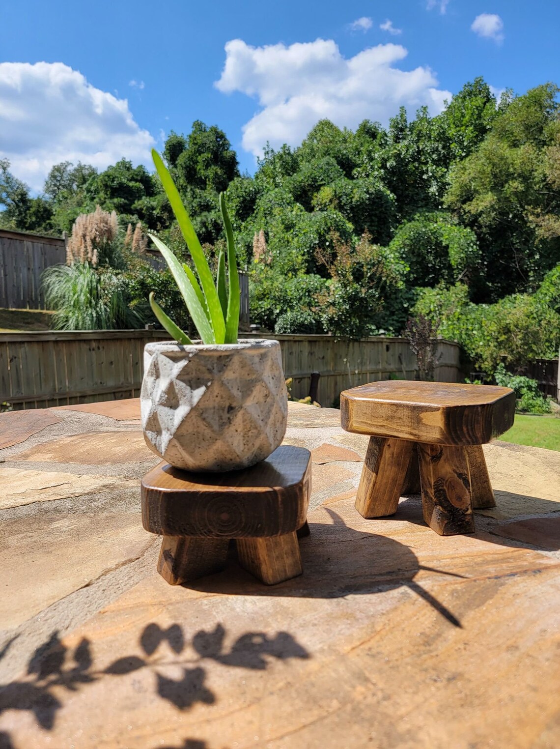 2 Mini Tabletop Solid Wood Rustic Plant Stand / Riser / - Etsy