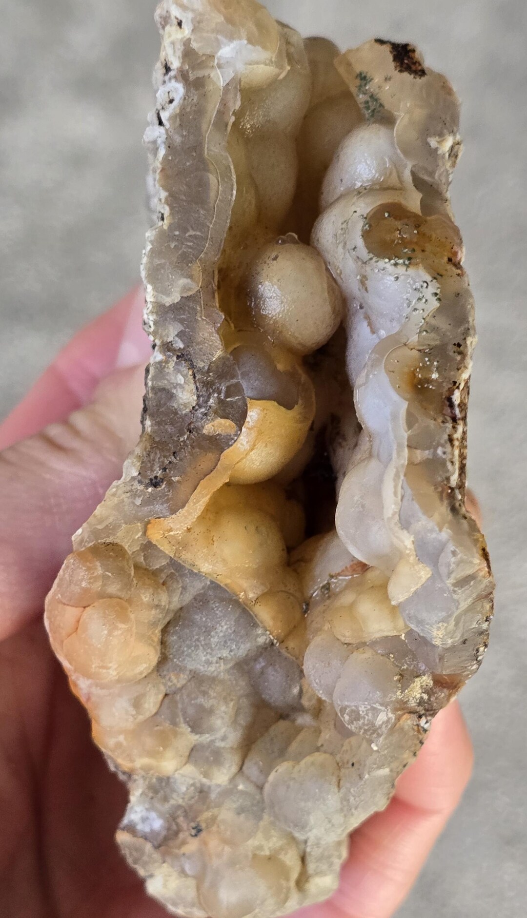 Botryoidal Agate Nodule - Etsy
