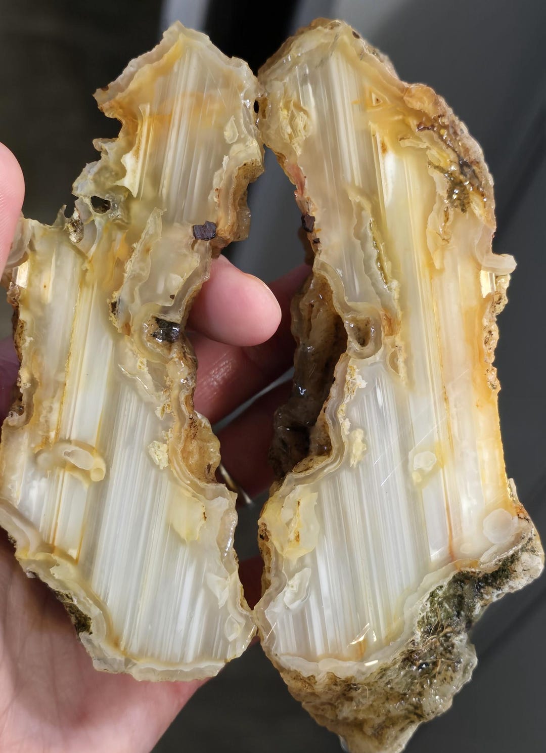 Waterline Opalized Agate Nodule - Etsy