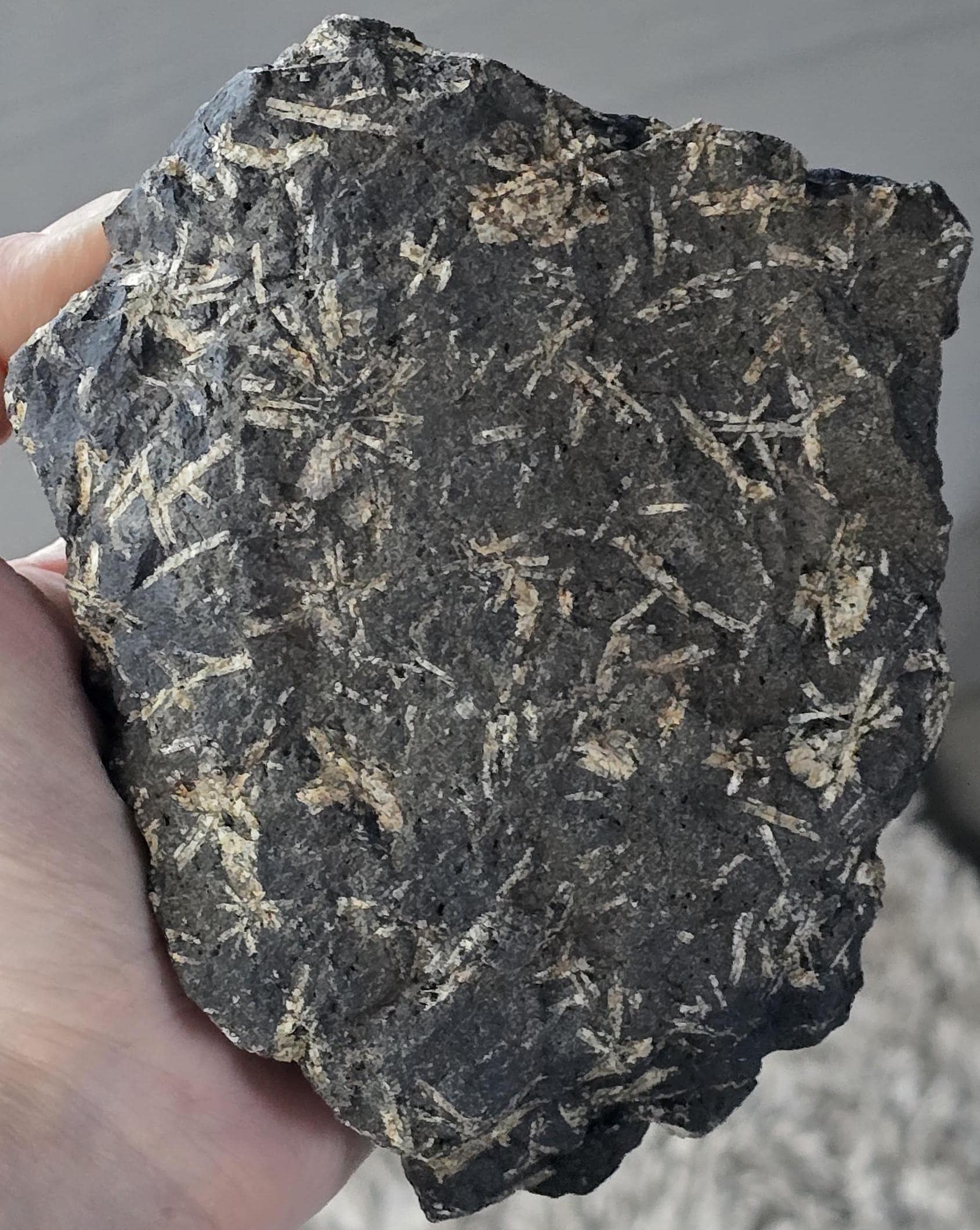 Porphyry Stone Chunk for Lapidary Cabbing or Display - Etsy