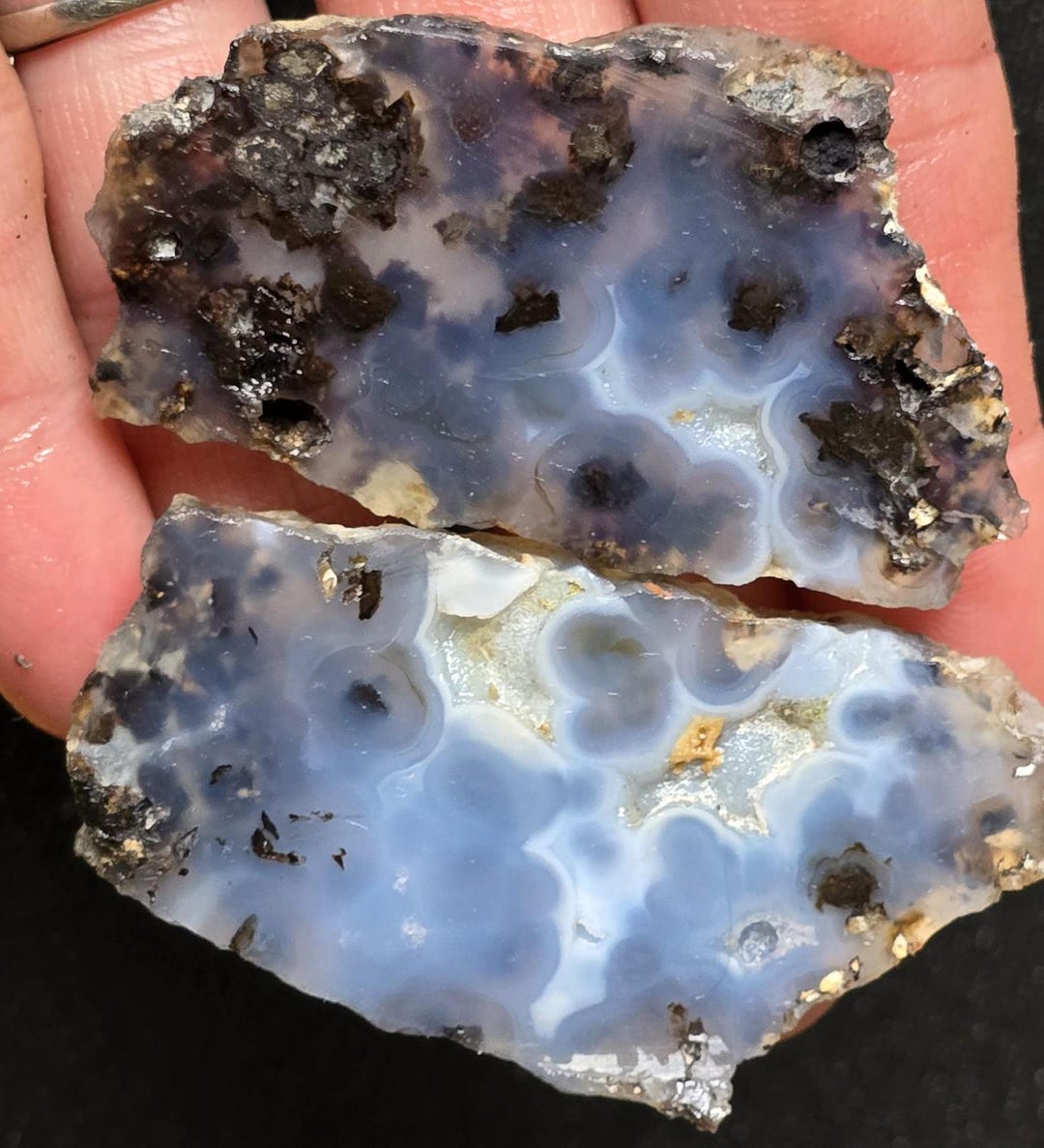 Small Thin Orbicular Agate Pieces - Etsy