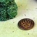 Druid Character Coin Token Pack Druid Miniature Druid Mini - Etsy