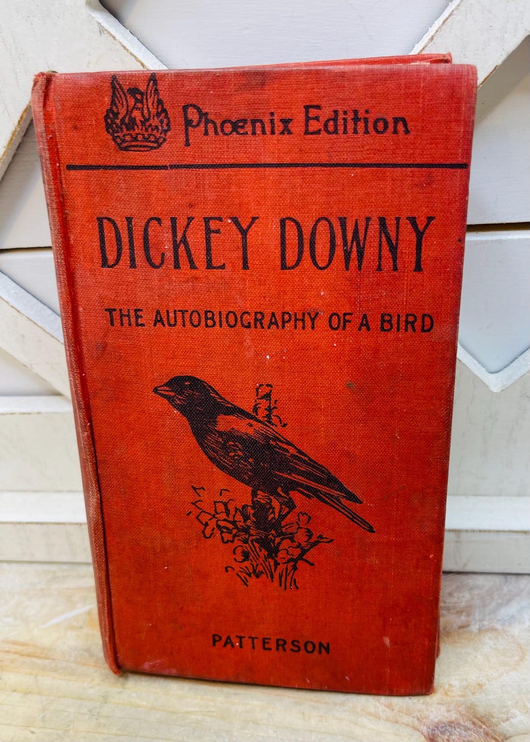 Vintage Dickey Downy the Autobiography of a Bird by Paterson, Phoenix ...