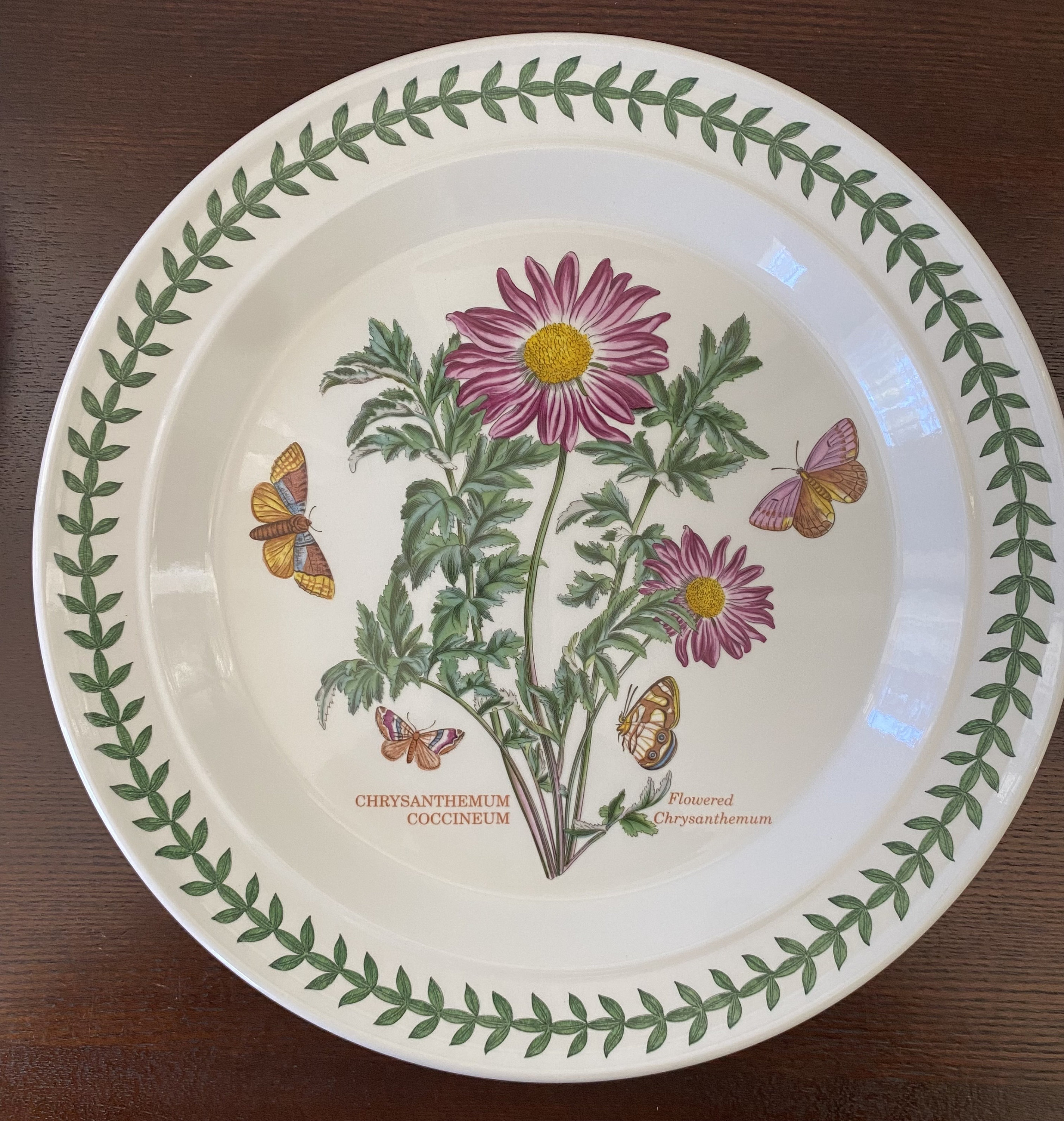 VTG Dinner Plate Botanical Garden by Portmeirion Your Choice of Floral ...