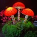 Neon Orange Mushroom Lamp Table Night Light Ambient Lights - Etsy