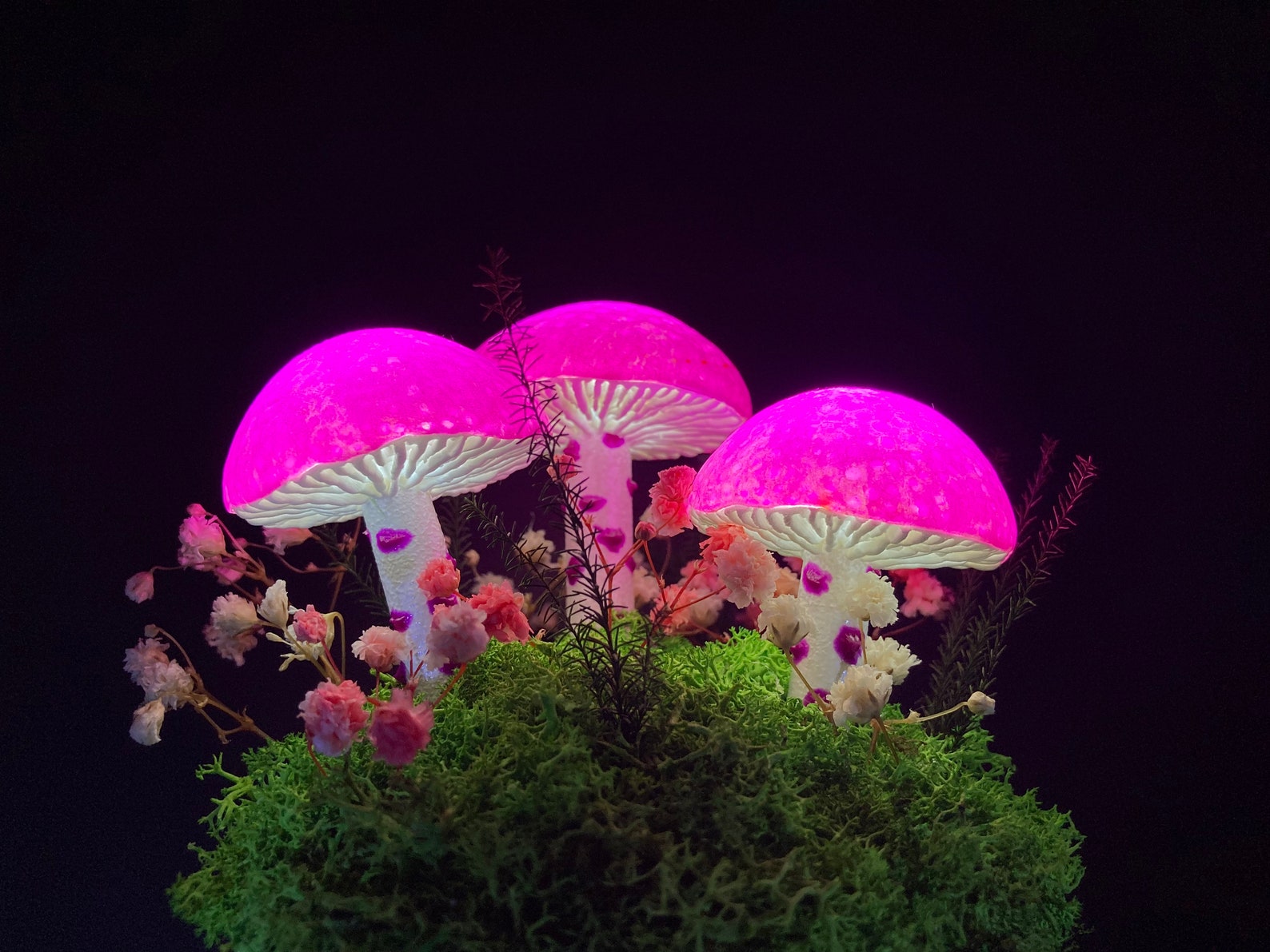 Pink Mushroom Lamp USB Trippy Lights Psychedelic Lamp Table - Etsy