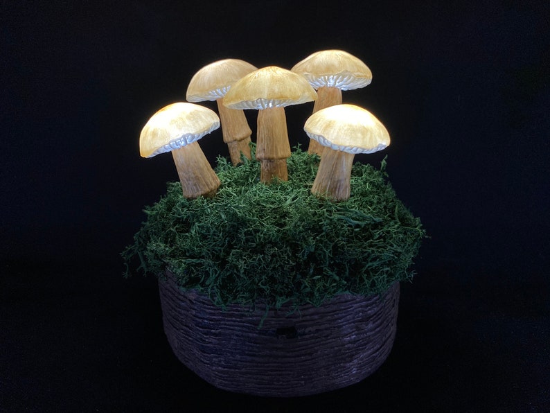 Brown Mushroom Lamp Psychedelic Lamp Fungus Mood Led Light | Etsy