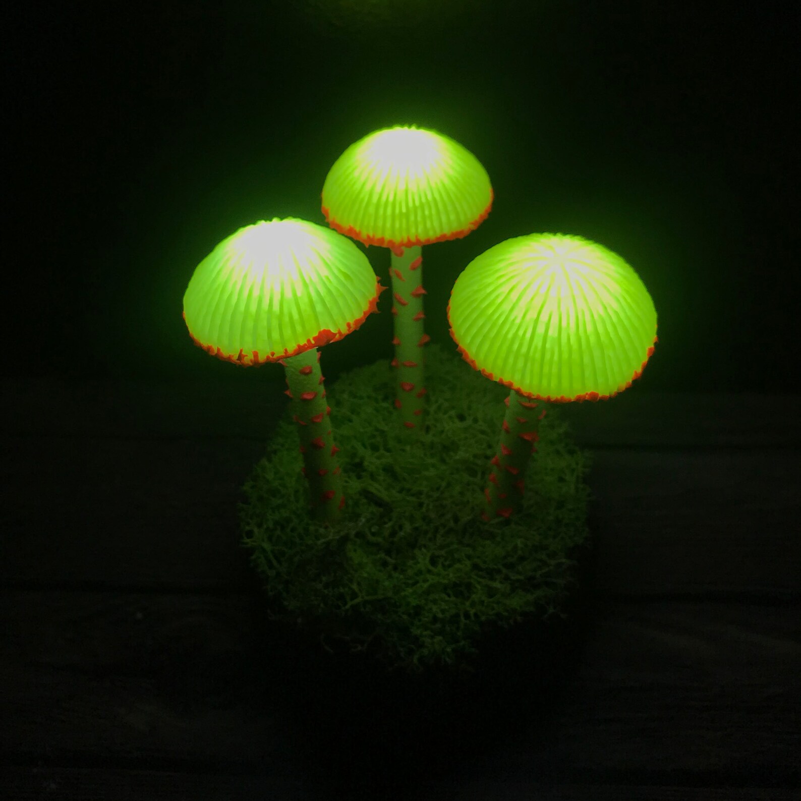 Fluorescent mushroom led night light trippy lamp glowing in | Etsy