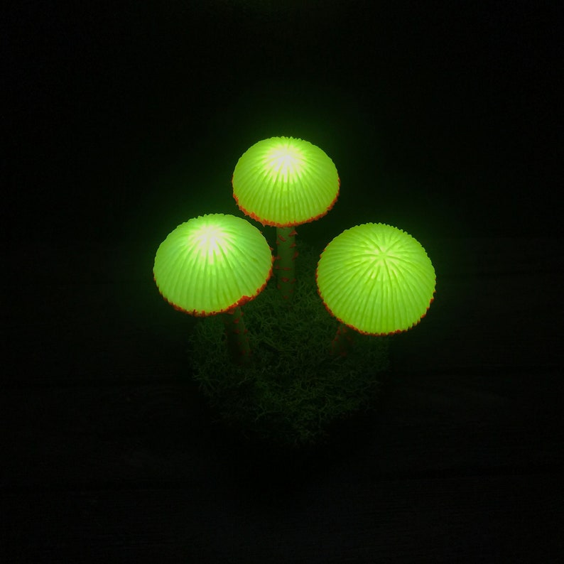 Fluorescent mushroom led night light trippy lamp glowing in | Etsy