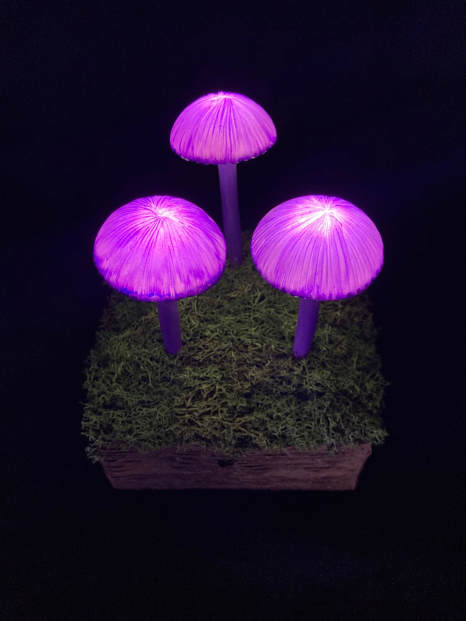 Purple glow mushroom lamp Gothic lamp LED Psychedelic lamp | Etsy