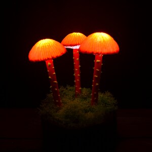 Fluorescent Orange Mushrooms Lamp Mushroom Night Light - Etsy