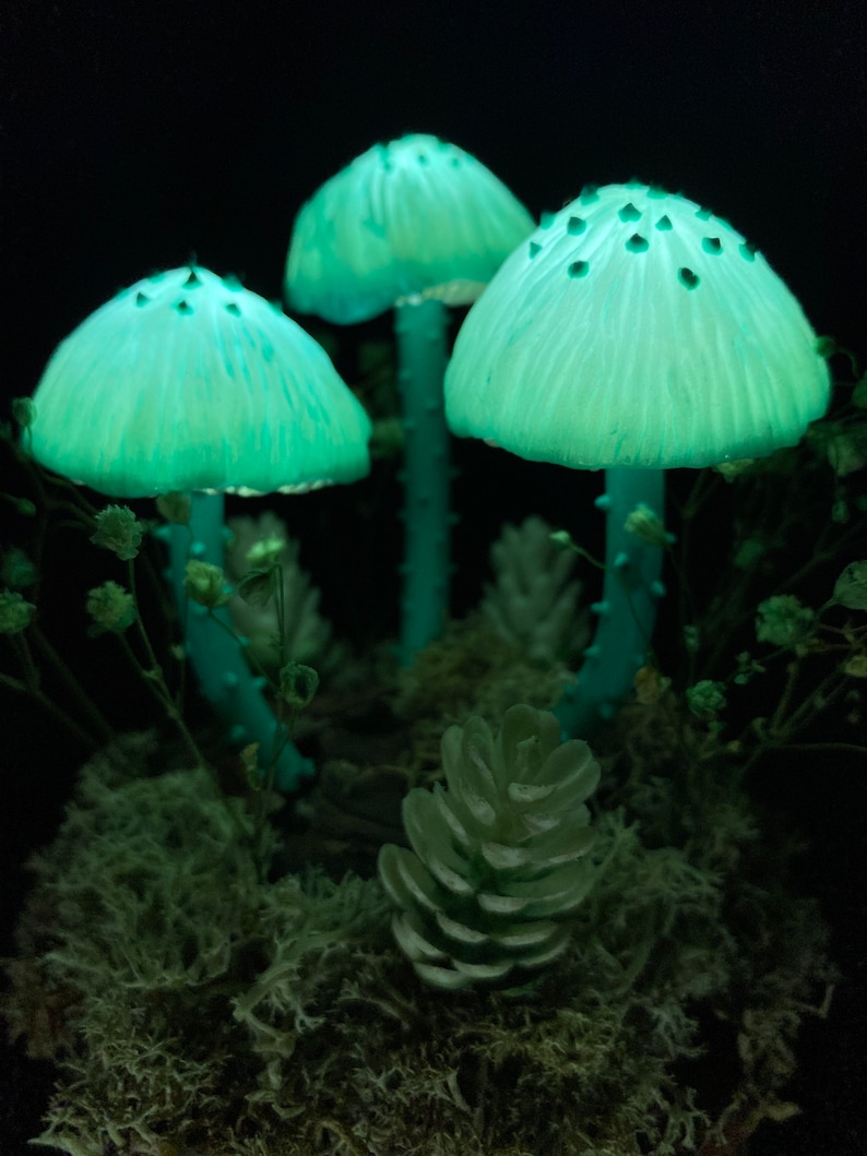 Glowing Mushroom Lamp Fungi Light Unique Table Night Light - Etsy
