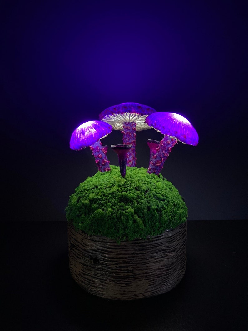 Mushroom Unique Night Light Mushroom Lamp Bedside Bedroom - Etsy