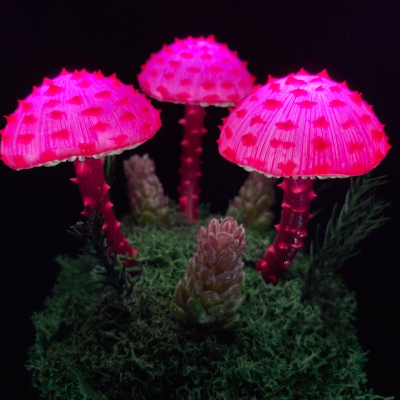 Mushroom Light - Etsy
