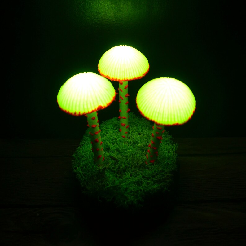 Fluorescent mushroom led night light trippy lamp glowing in | Etsy
