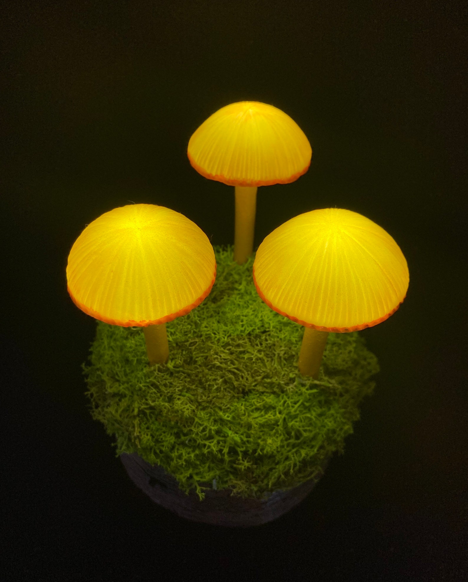 Mushroom Lamp Mushrooms Night Light Fungi LED Glowing in the | Etsy UK