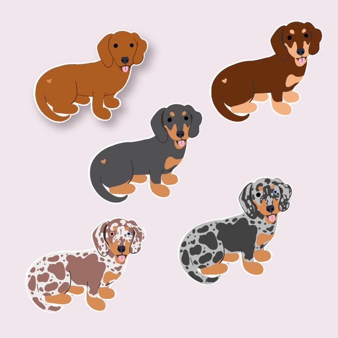 Dachshund / Weiner Dog Stickers - 5 Pack - Etsy