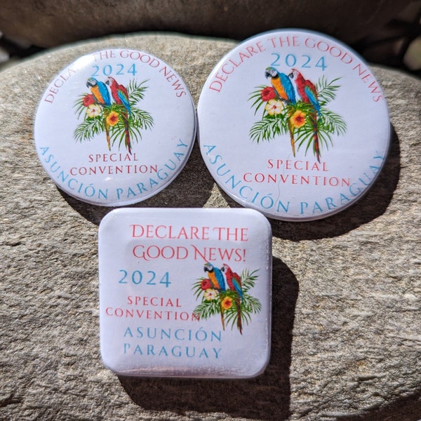 Paraguay Pins 2024 - Etsy