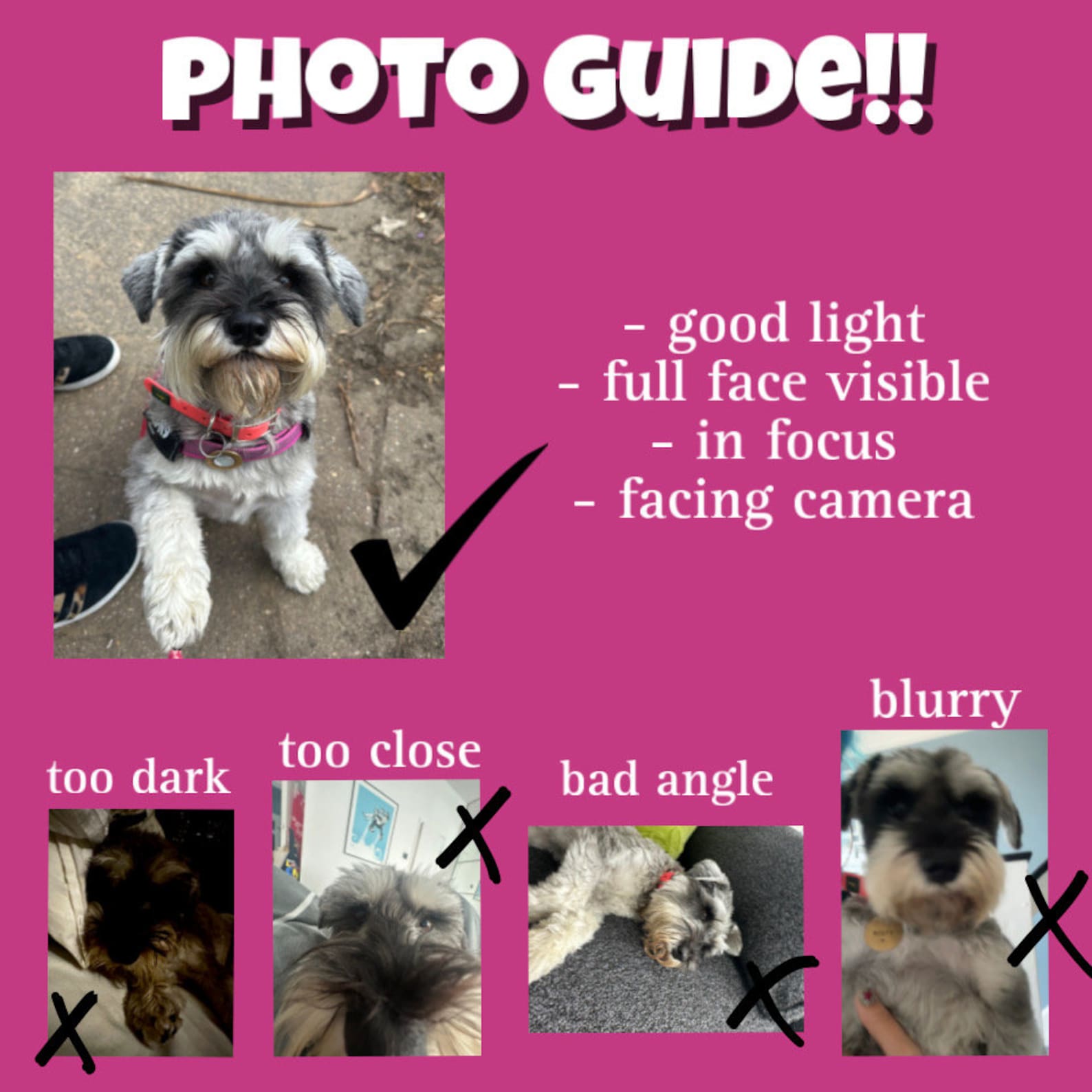 Custom Watercolour Gold Leaf Dog Portraits, 20x20 Cm, Hand Painted, Pet ...