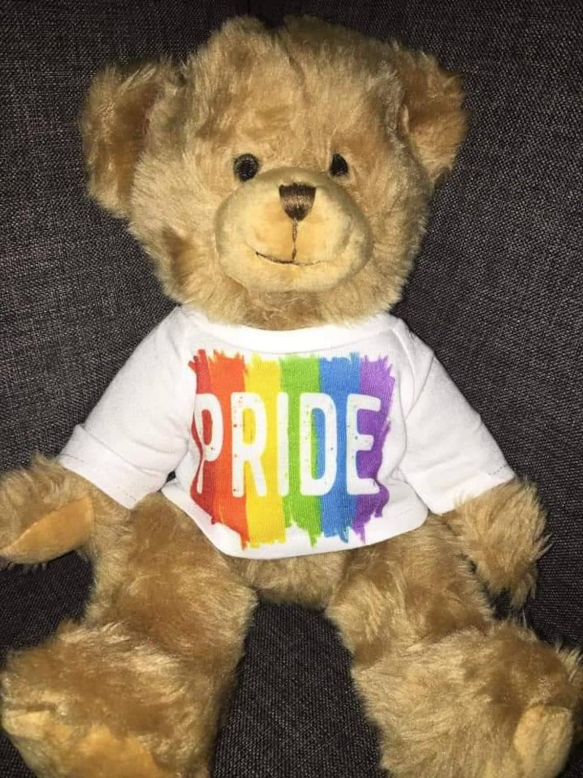 Pride Bear Teddy LGBT | Etsy