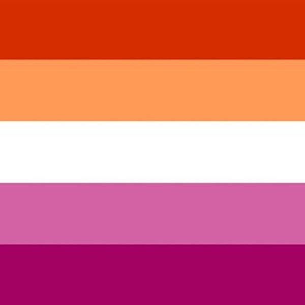 Lesbian Flag - Etsy