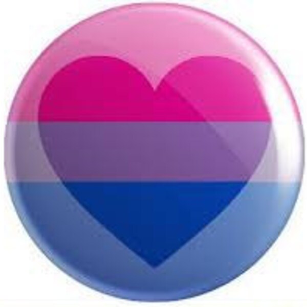 Biromantic Flag - Etsy