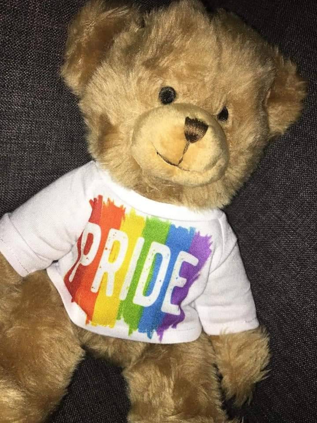 Pride Bear Teddy LGBT - Etsy