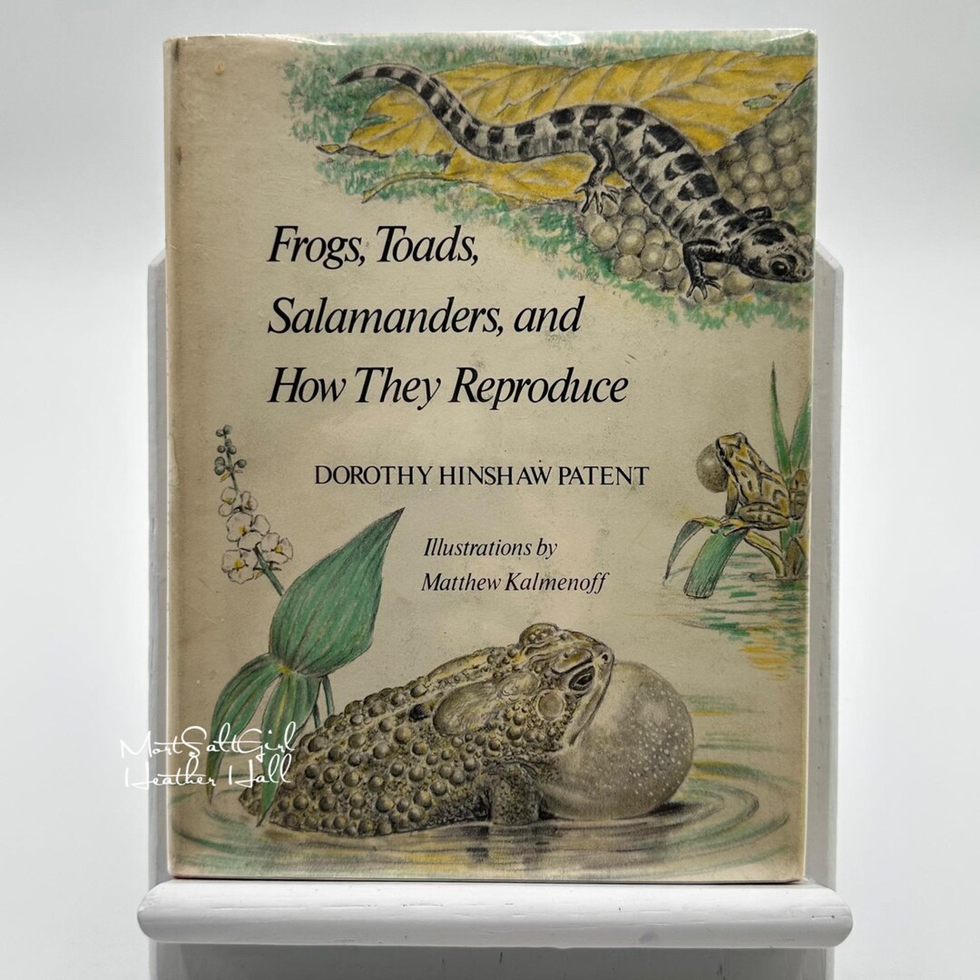 Frogs Toads Salamanders & How They Reproduce Dorothy H. Patent 1975 ...