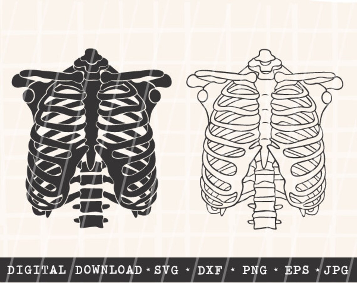 Rib Cage Bundle SVG / Rib Cage SVG / Skeleton SVG / Halloween - Etsy