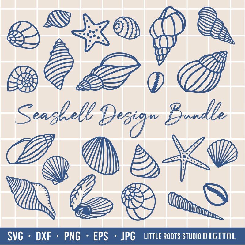 Seashells Svg - Etsy